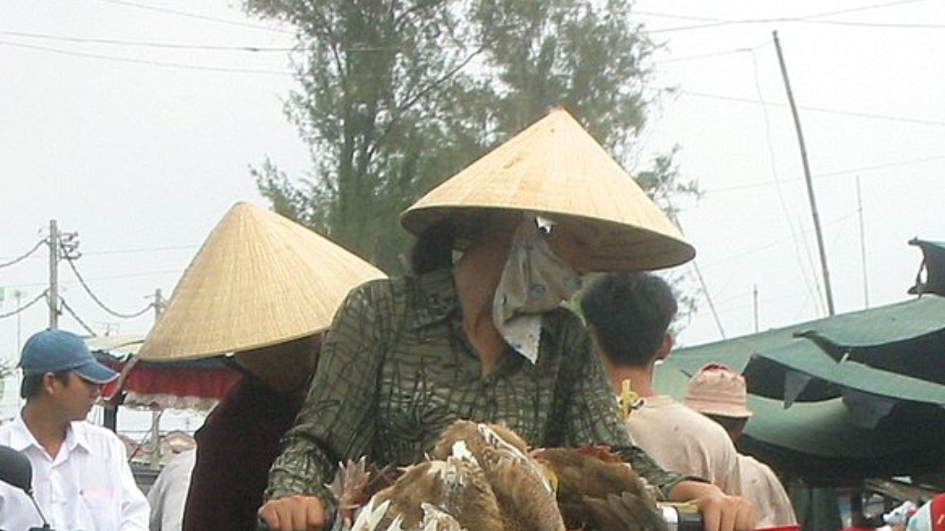 20 Iconic & Traditional Hats Worn In Different Countries - SheFashionable