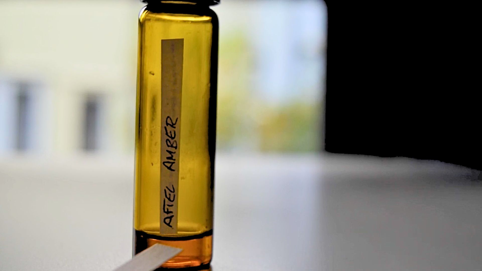 The 20 Most Popular Perfume Scents - SheFashionable