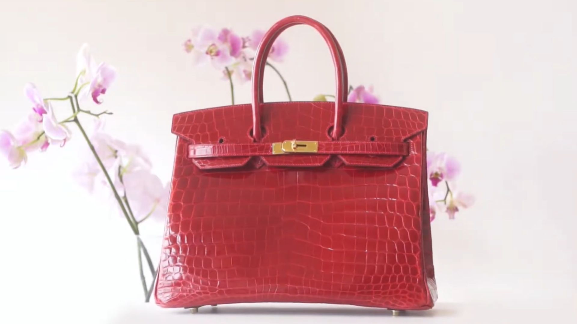 The 20 Most Expensive Handbags In The World - SheFashionable